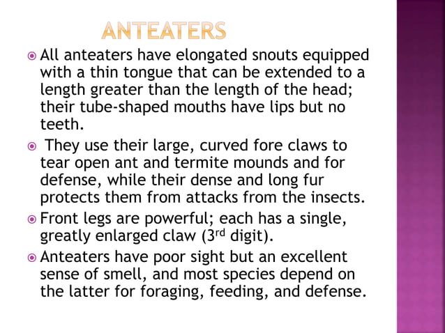 Order Edentata or Xenarthra | PPT