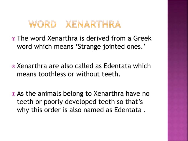 Order Edentata or Xenarthra | PPT | Free Download