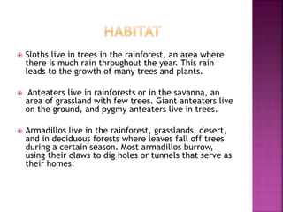 Order Edentata or Xenarthra | PPTX