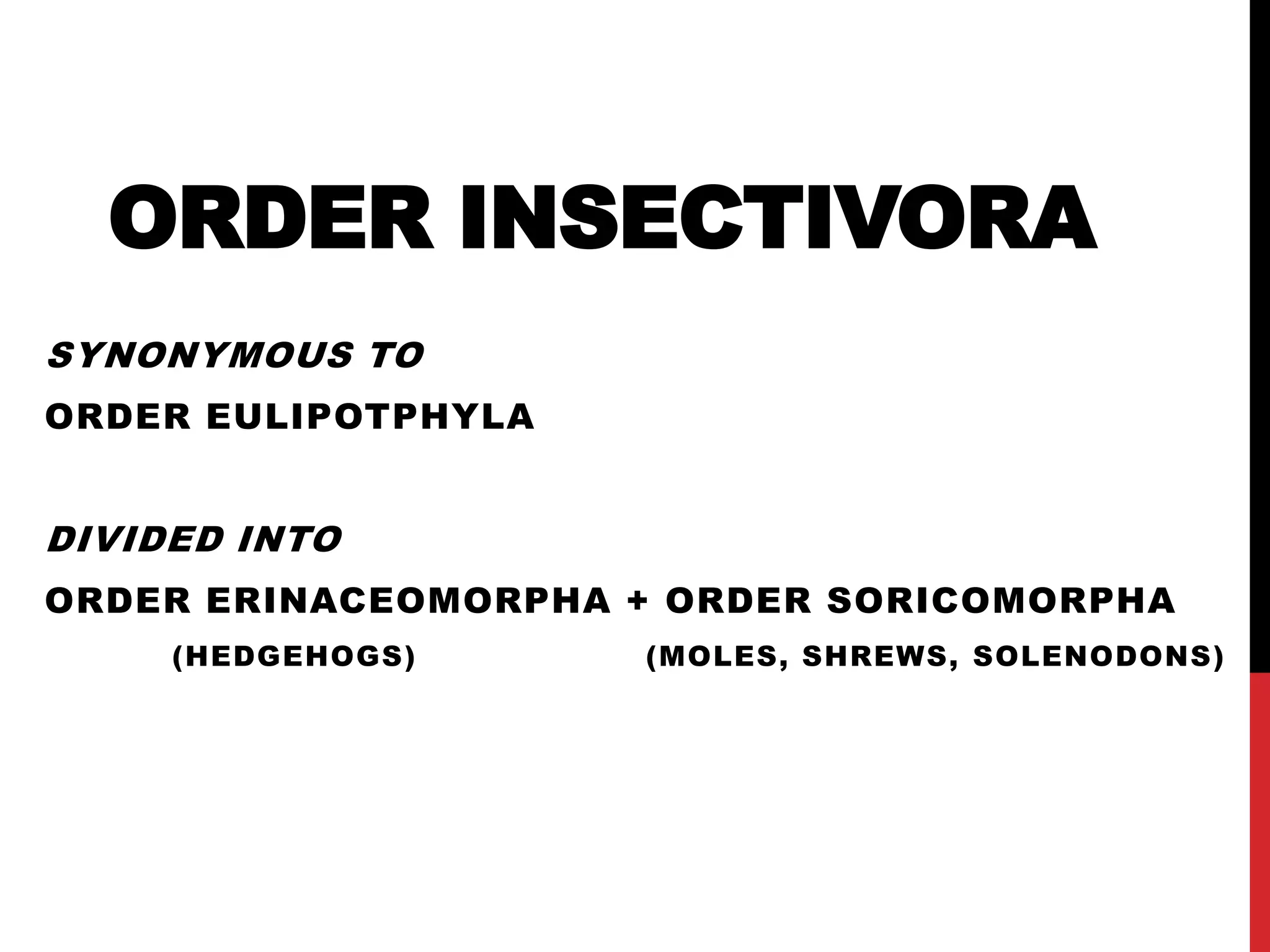 Order insectivora | PPTX