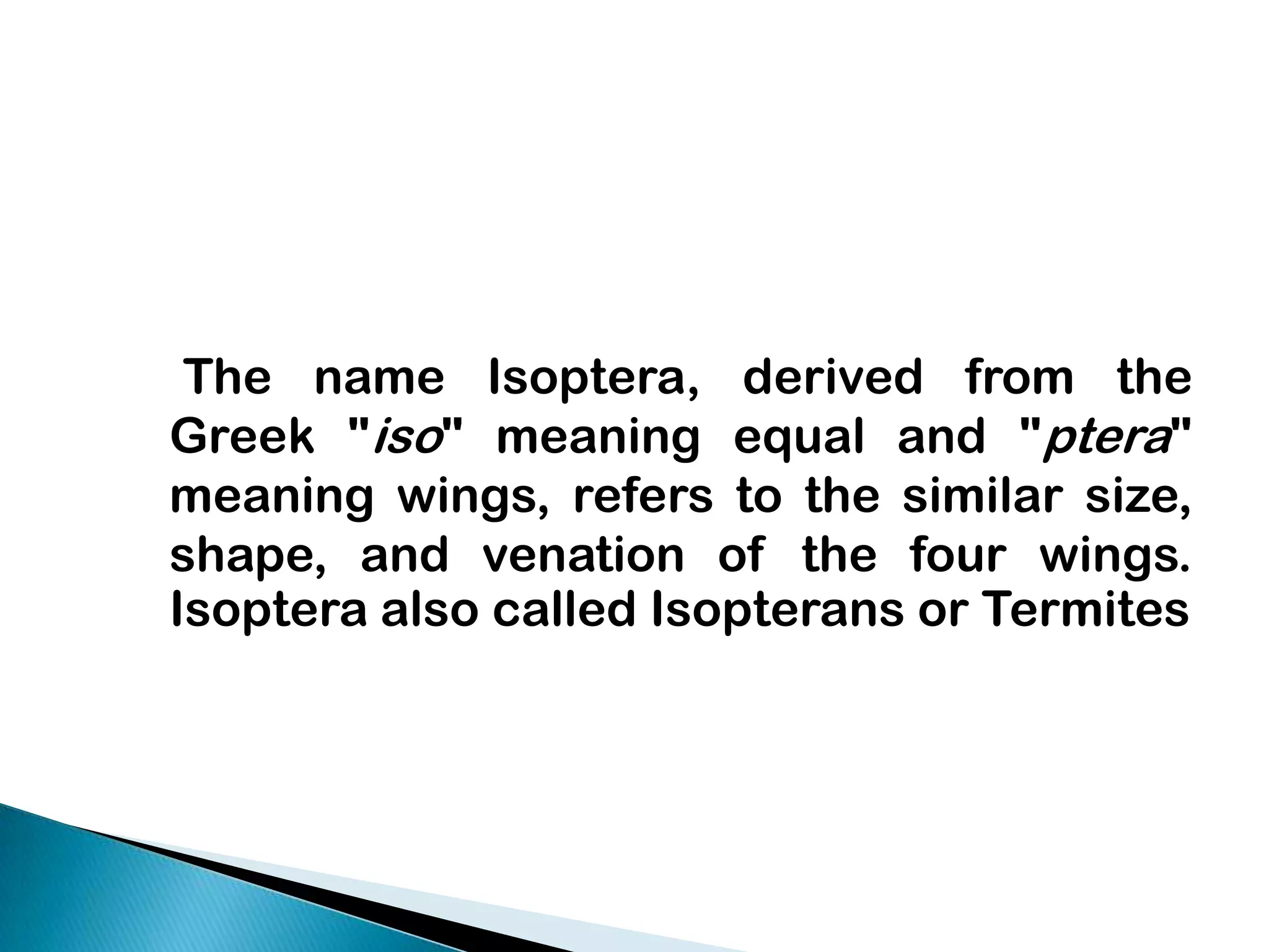 Order isoptera | PPTX