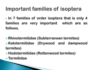 Order isoptera | PPTX