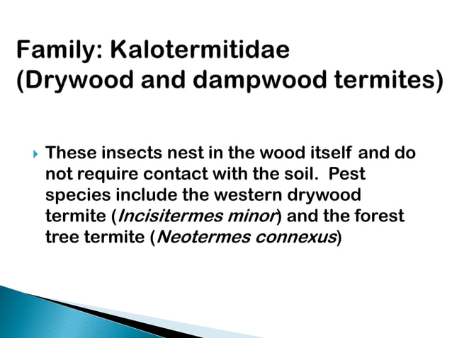 Order isoptera | PPTX