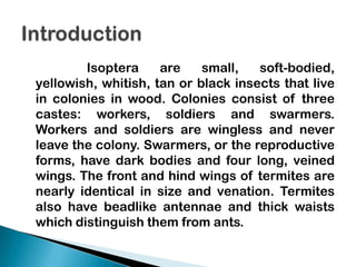 Order isoptera | PPTX