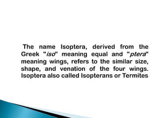 Order isoptera | PPTX