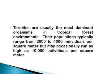 Order isoptera | PPTX