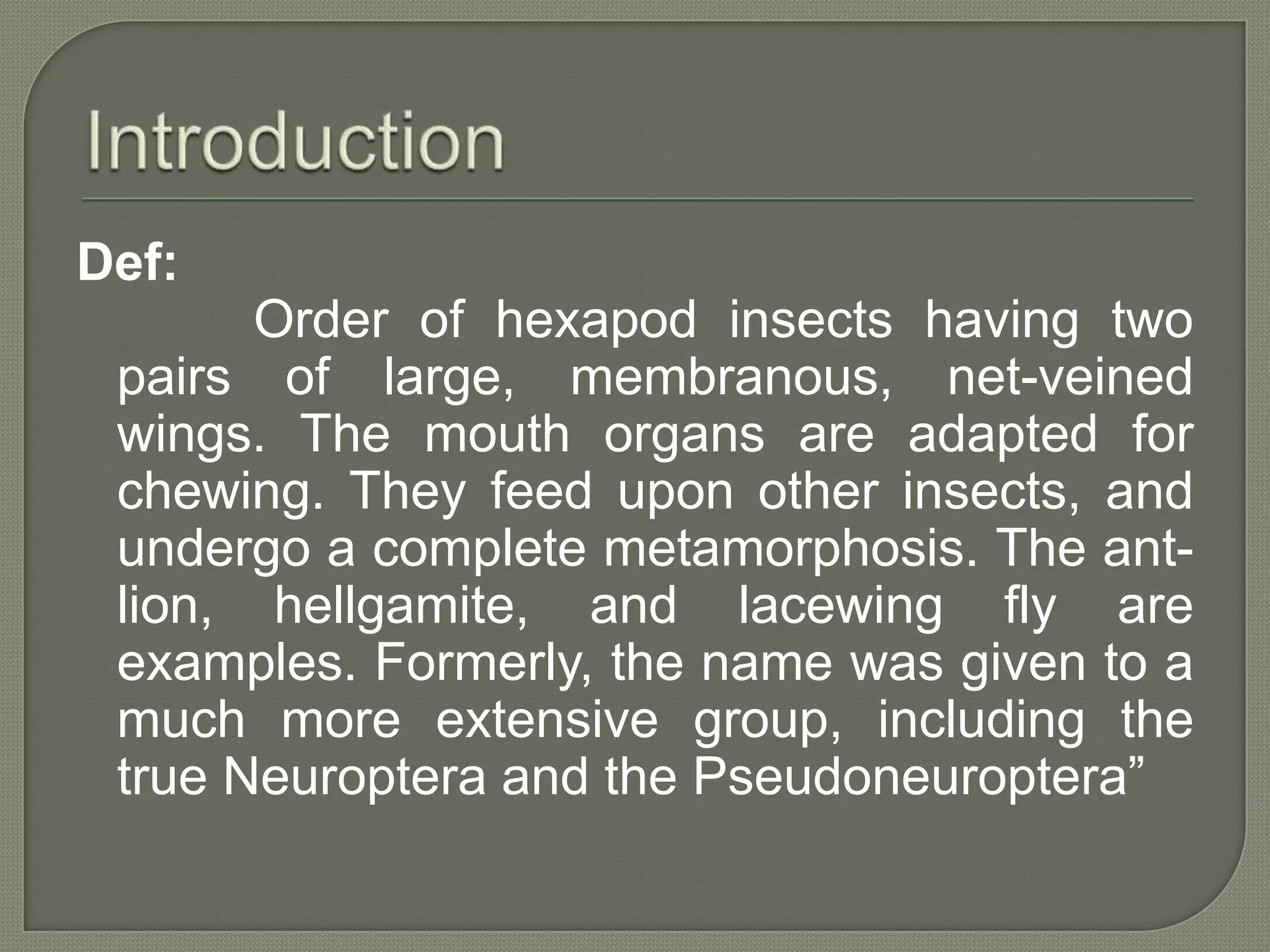 Order neuroptera | PPTX