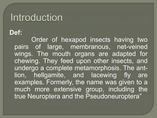 Order neuroptera | PPTX