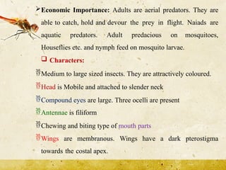 Order: Odonata Isoptera and Thysanoptera.pptx