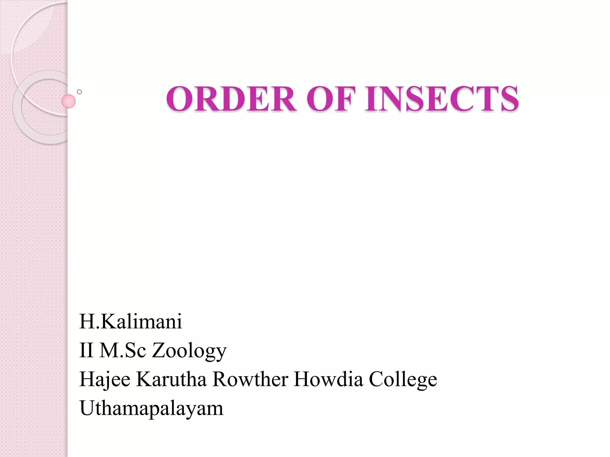Order of insects | PPTX