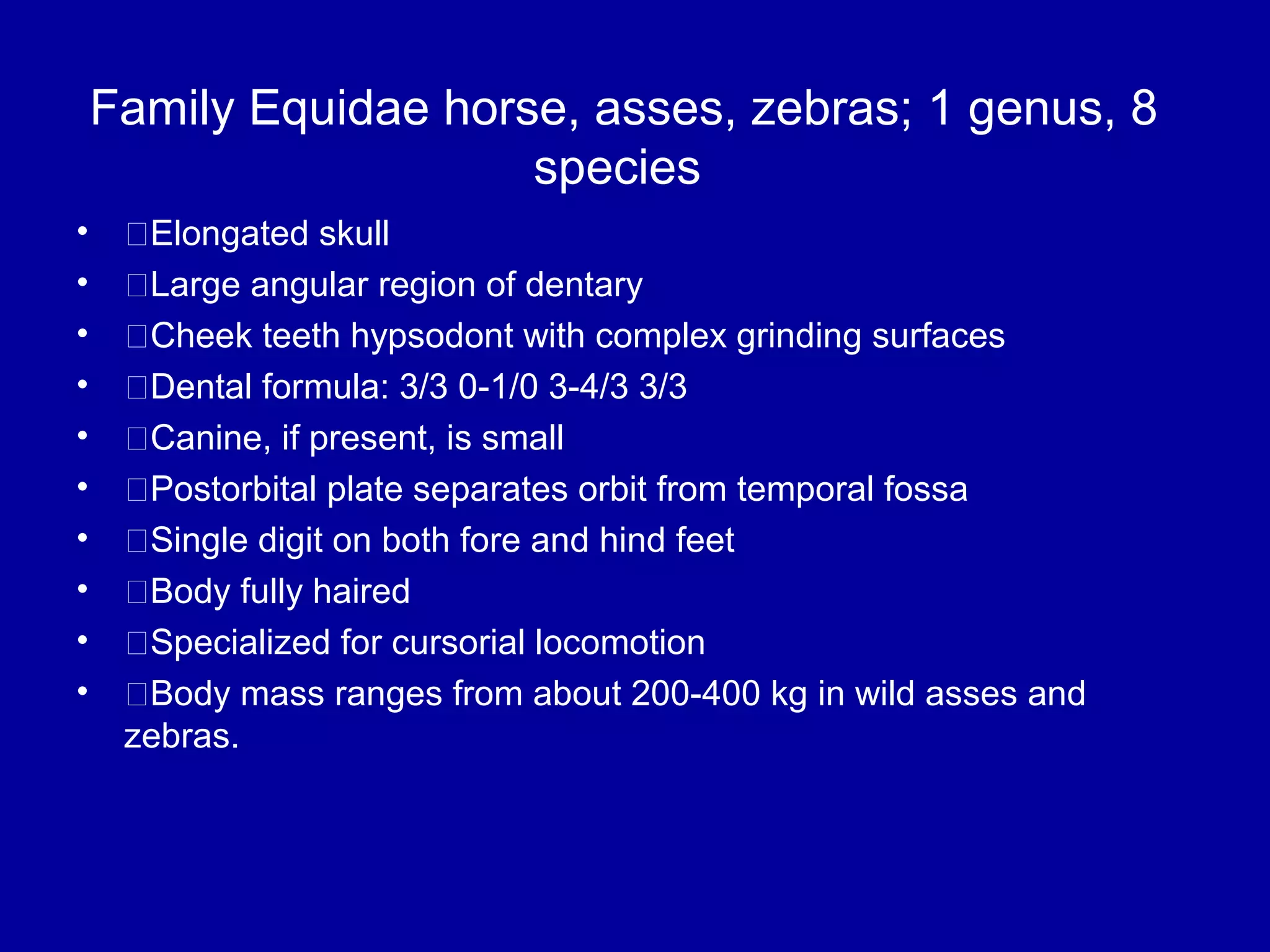 Order perissodactyla | PPT