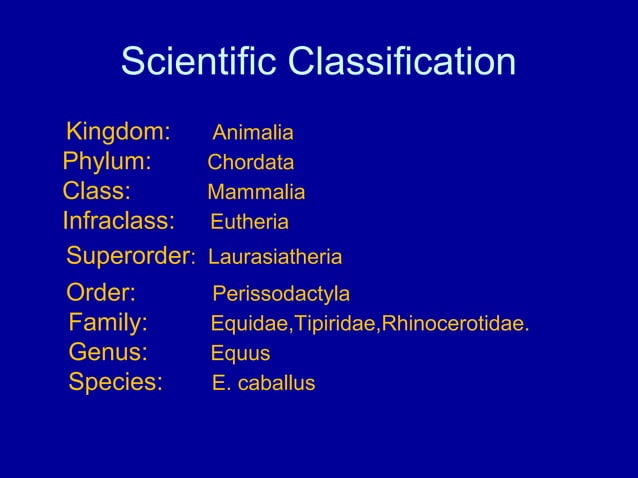 Order perissodactyla | PPT | Geography | Science