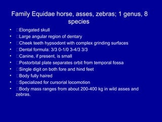 Order perissodactyla | PPT