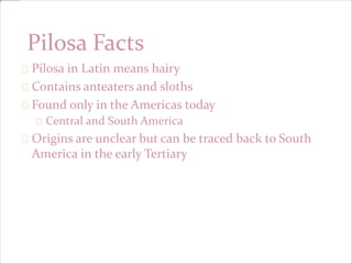 Order pilosa Shared By Abdul Qahar Buneri AWKUM BUner Campus | PPT