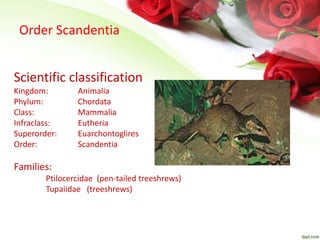 Order scadentia... Shared By Abdul Qahar Buneri AWKUM BUner Campus | PPTX