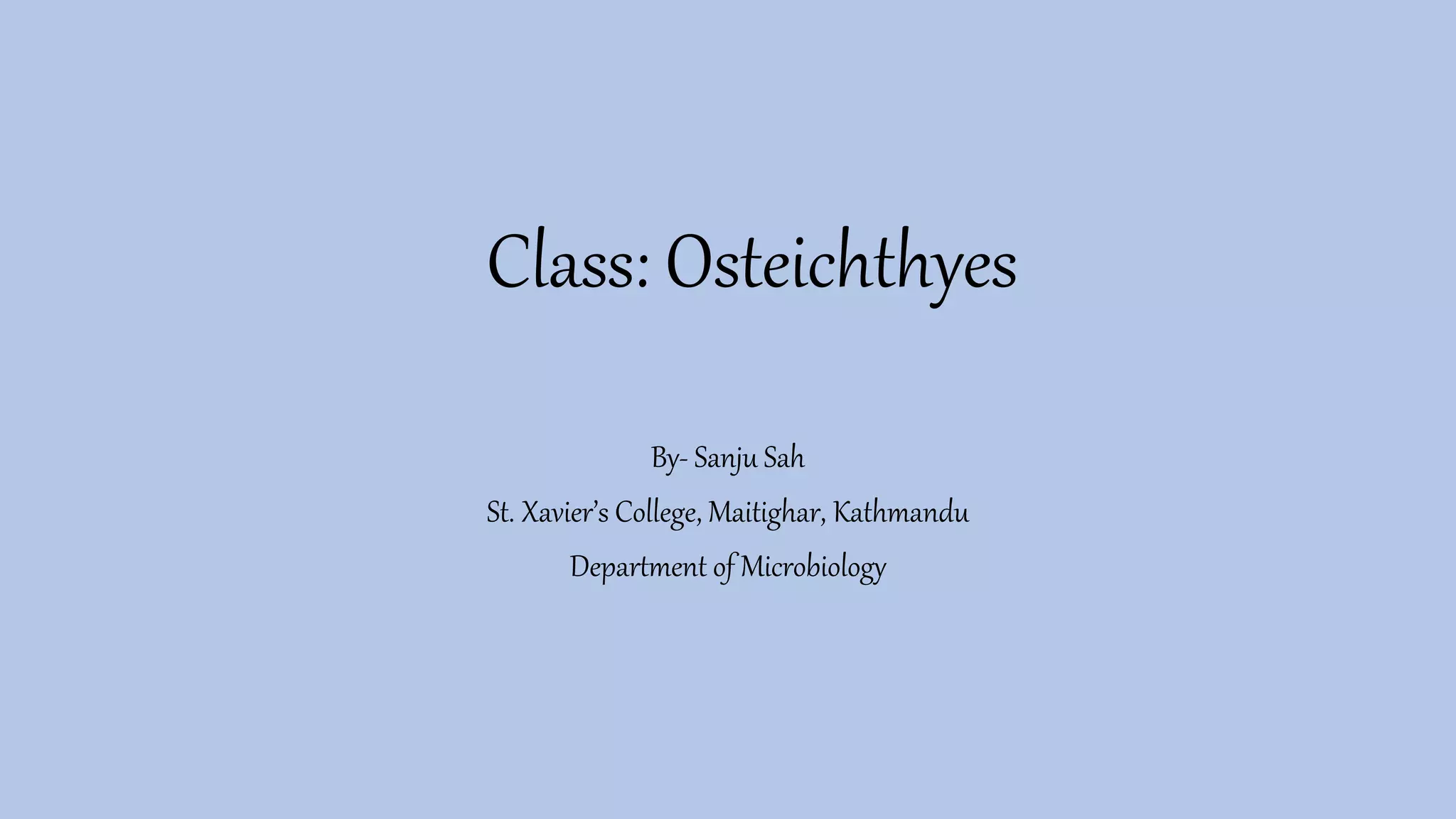 Orders of class osteichthyes | PPTX