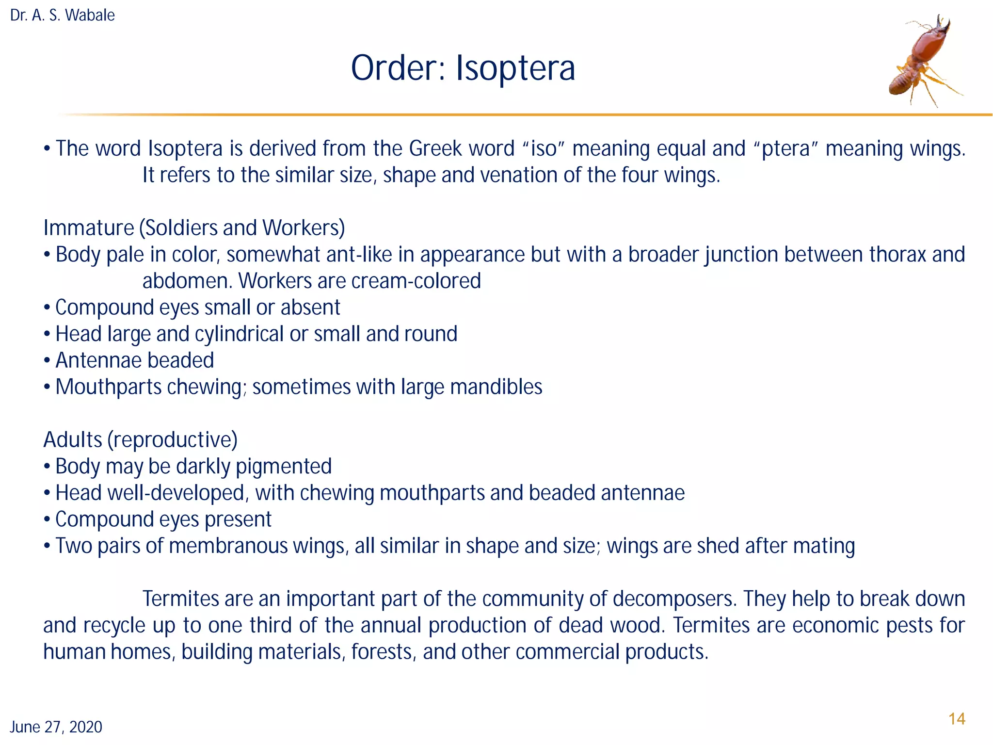 Orders of insect pest | PDF