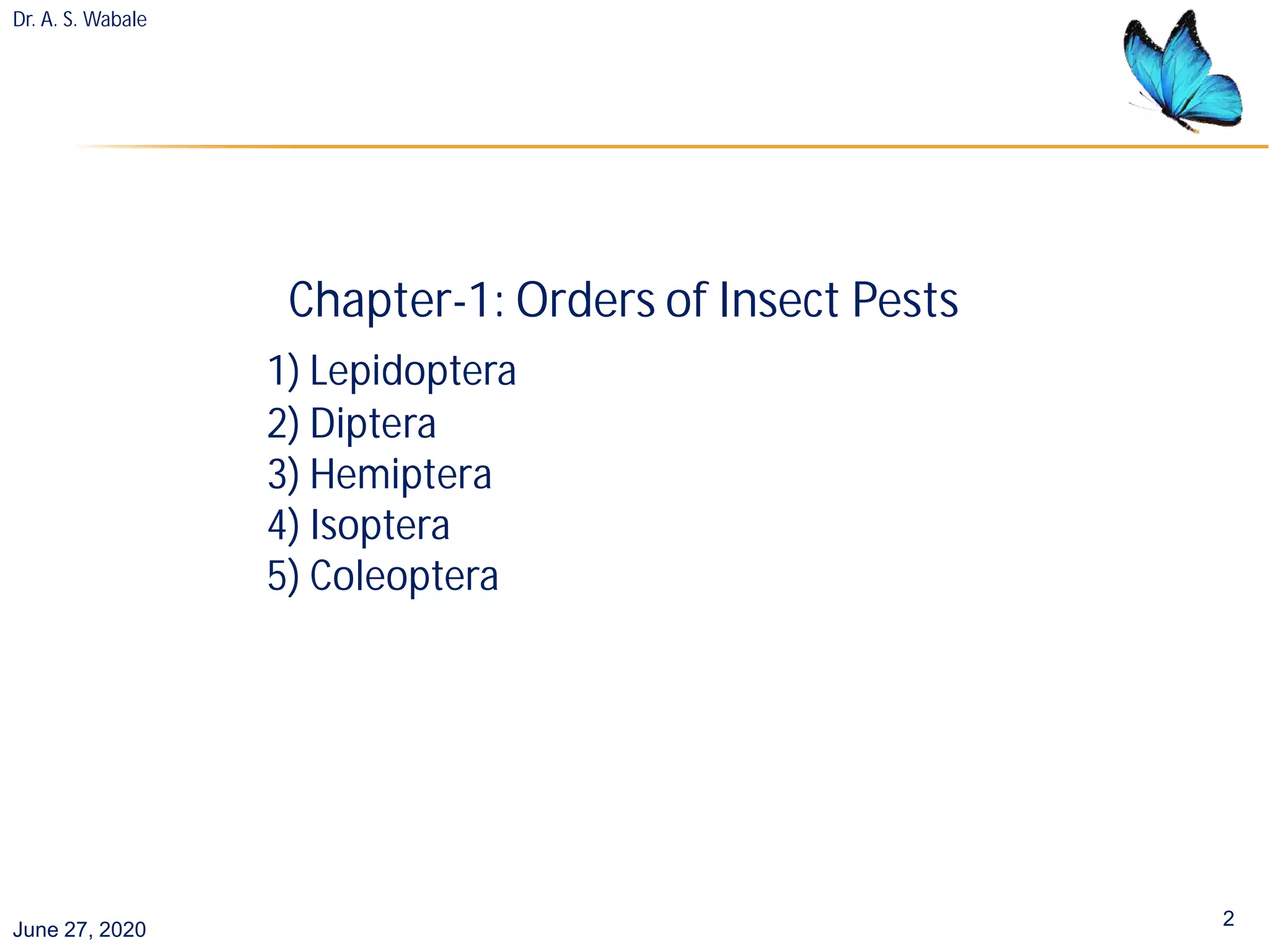 Orders of insect pest | PDF
