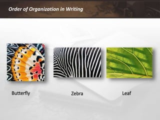 Orders of Organization-Creative Writing-MAGBANUA.pptx