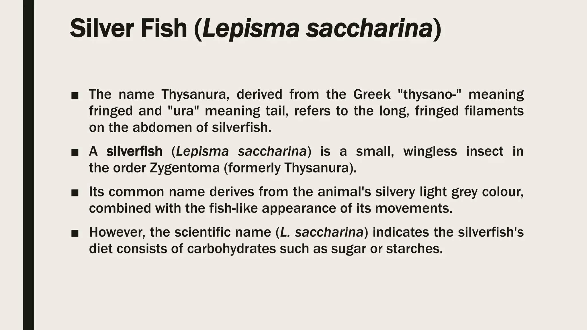 Order thysanura (silver fish) | PPTX