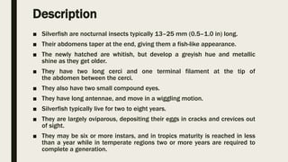 Order thysanura (silver fish) | PPTX