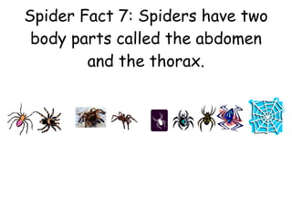 Ordinal Numbers | PPT