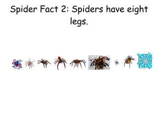 Ordinal Numbers | PPT