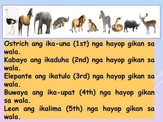 Classroom Observation for Grade 1-Ordinal Number.pptx
