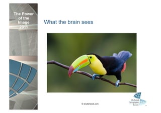 Colour Vision Deficiency Inclusive Cartographic Design | PPT