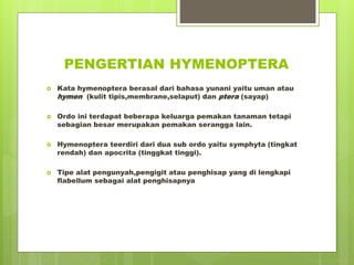 ORDO HYMENOPTERA ppt. - Copy.pptx