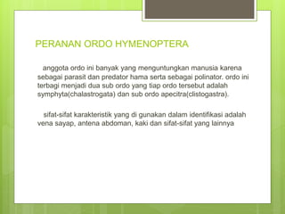 ORDO HYMENOPTERA ppt. - Copy.pptx
