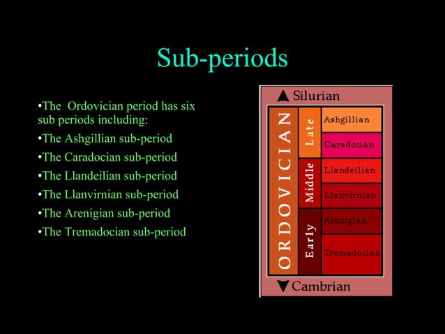 Sean + CJ Ordovician Period | PPT | Geography | Science