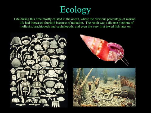 Sean + CJ Ordovician Period | PPT | Geography | Science