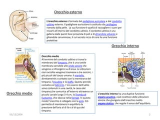 Orecchio E Suono | PPTX | Ear, Nose and Throat Conditions | Diseases ...