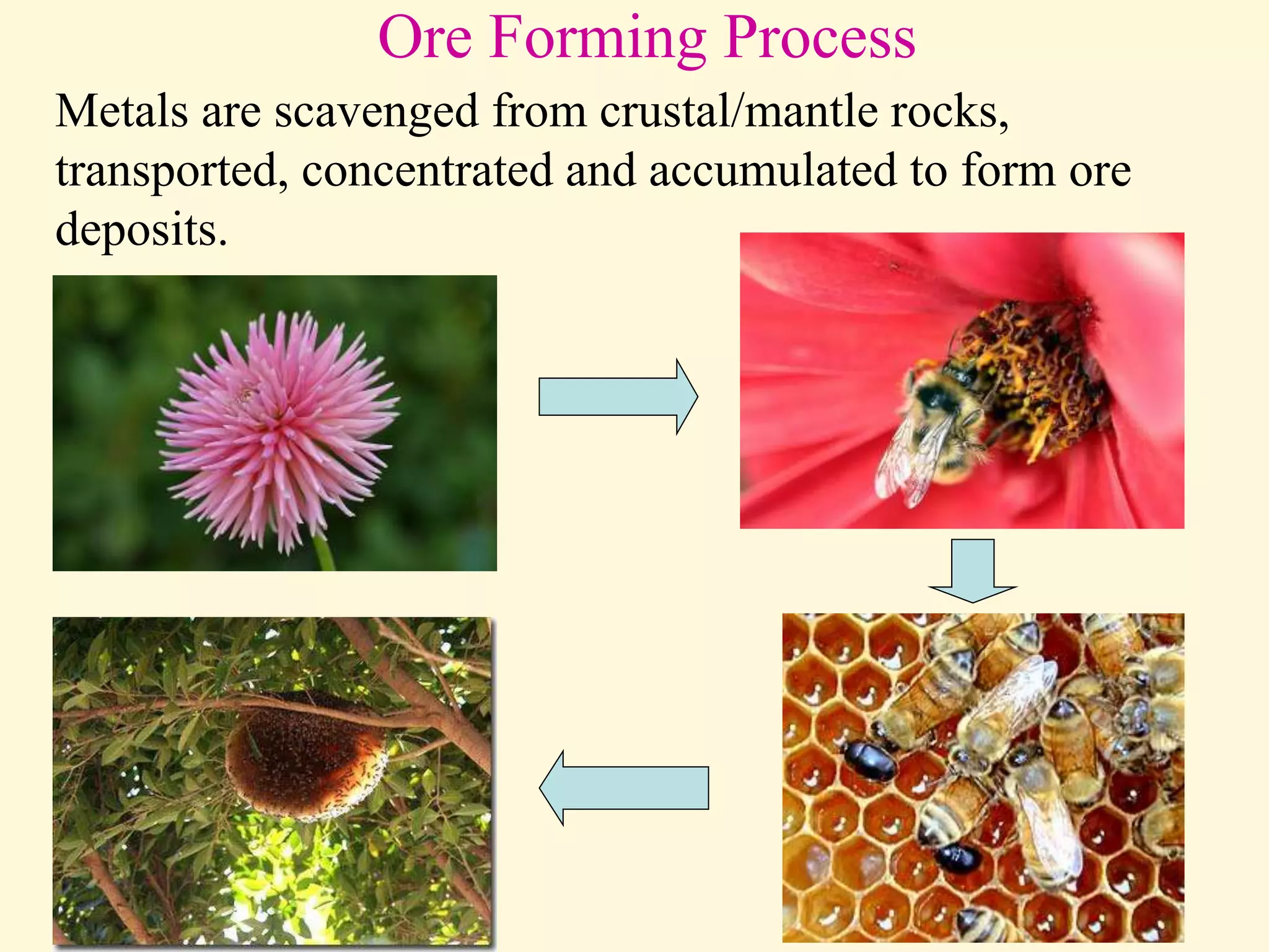 Ore_Deposits_and_Ore_Forming_Processes.ppt