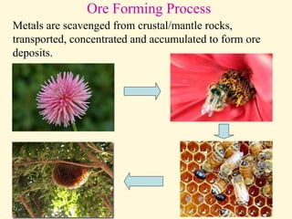 Ore_Deposits_and_Ore_Forming_Processes.ppt