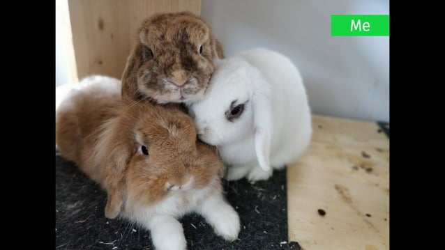 Elixir & Phoenix – Fast, Concurrent and Explicit | PPT