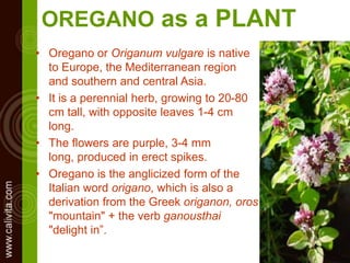 Oregano oil | PPTX