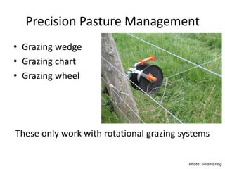 20. Precision Pasture Management | PDF