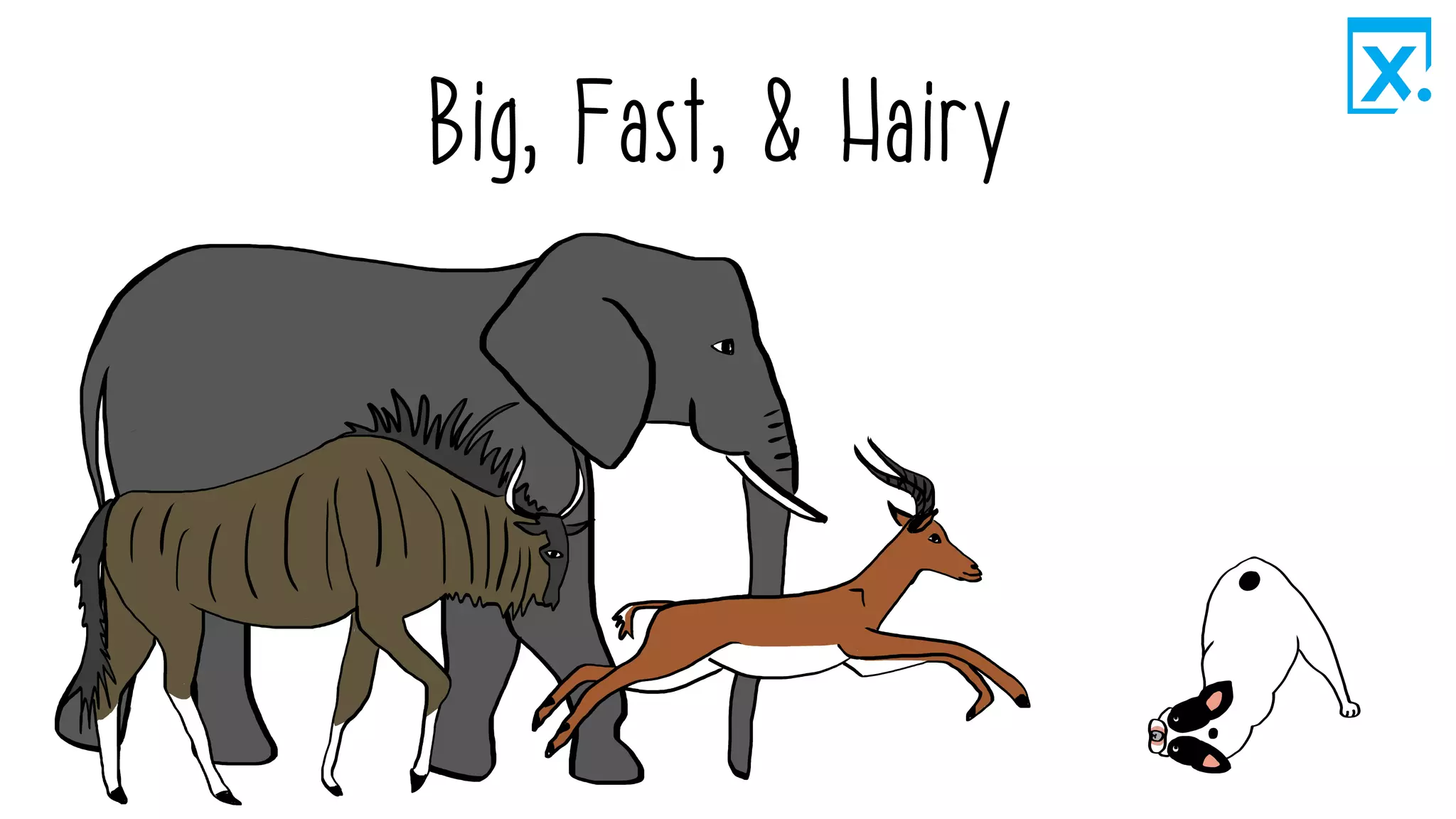 Reactive for Machine Learning Teams | PPT