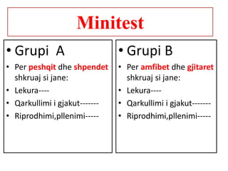 Ore mesimore tik | PPT