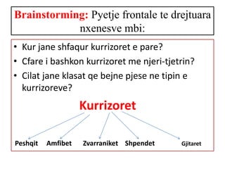 Ore mesimore tik | PPTX