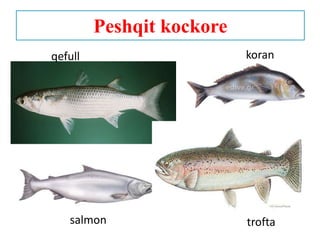 Ore mesimore tik | PPTX