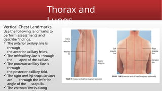 ORESCO Module_5-Thorax_and_Lungs- CNU.pptx