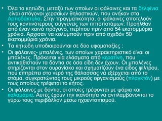 Οι φάλαινες - Ορέστης | PPT