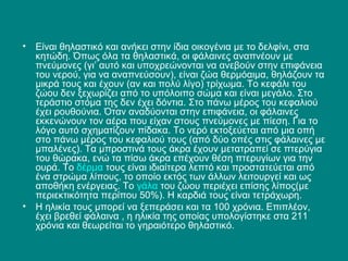 Οι φάλαινες - Ορέστης | PPT