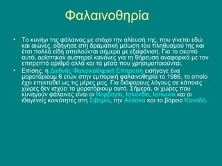Οι φάλαινες - Ορέστης | PPT