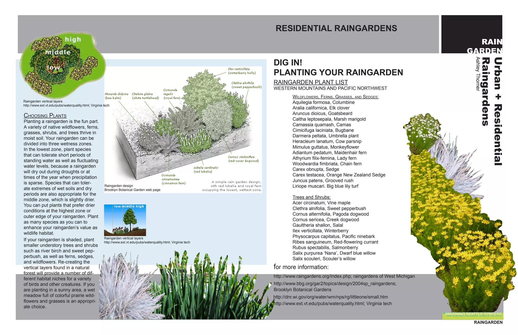 OR: Examples of Rain Gardens in Portland | PDF