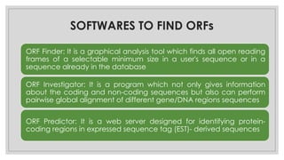 ORF, Gene Clustering, Overlapping Genes and.pptx