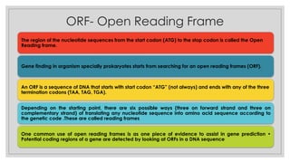 ORF, Gene Clustering, Overlapping Genes and.pptx